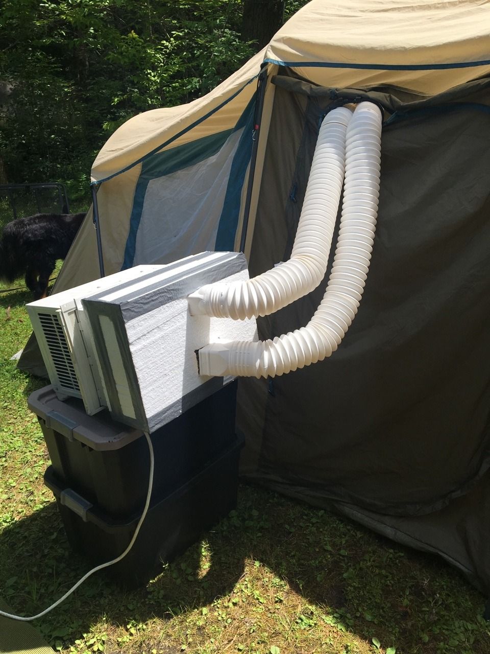 Exploring Santiam River: Your Ultimate Guide to Tent Camping - Humans ...