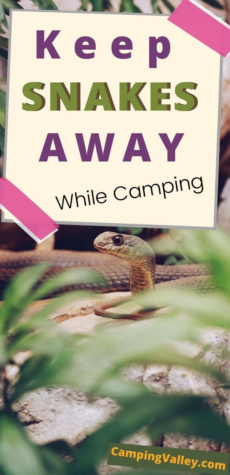 Exploring Santiam River: Your Ultimate Guide to Tent Camping - Humans ...